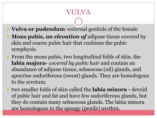 Female reproductive system | PPTX