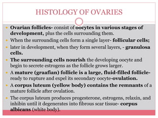 Female reproductive system | PPTX