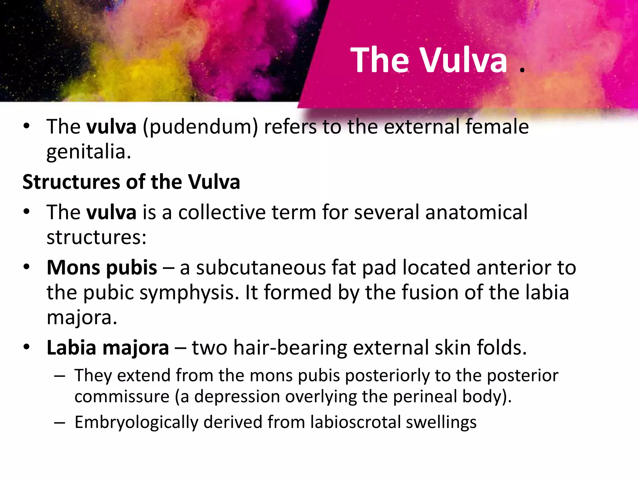 Female reproductive system | PPTX