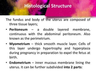 Female reproductive system | PPTX