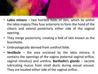 Female reproductive system | PPTX