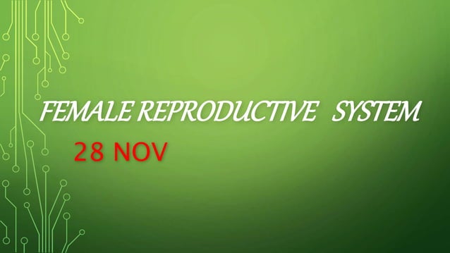 Female reproductive system | PPT