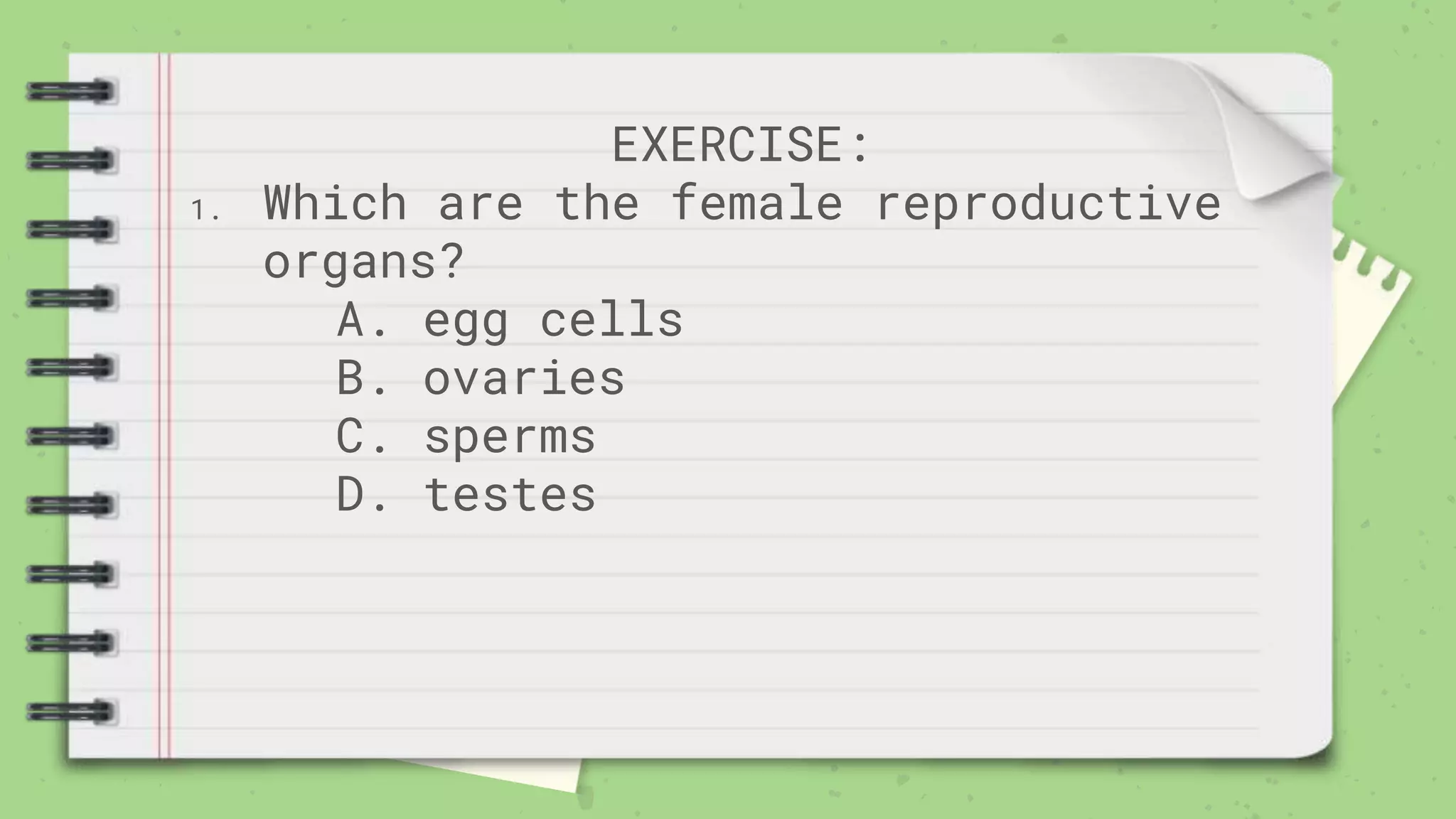 Female reproductive system | PPTX