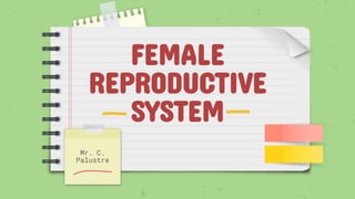 Female reproductive system | PPTX | Infertility | Reproductive Health