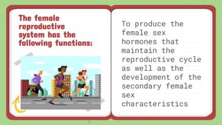 Female reproductive system | PPTX | Infertility | Reproductive Health