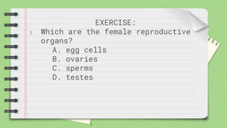 Female reproductive system | PPTX