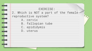 Female reproductive system | PPTX