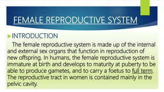 Female reproductive system | PPTX