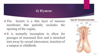 Anatomy and Physiology of Female reproductive system. | PPTX