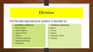 Female reproductive system | PPTX