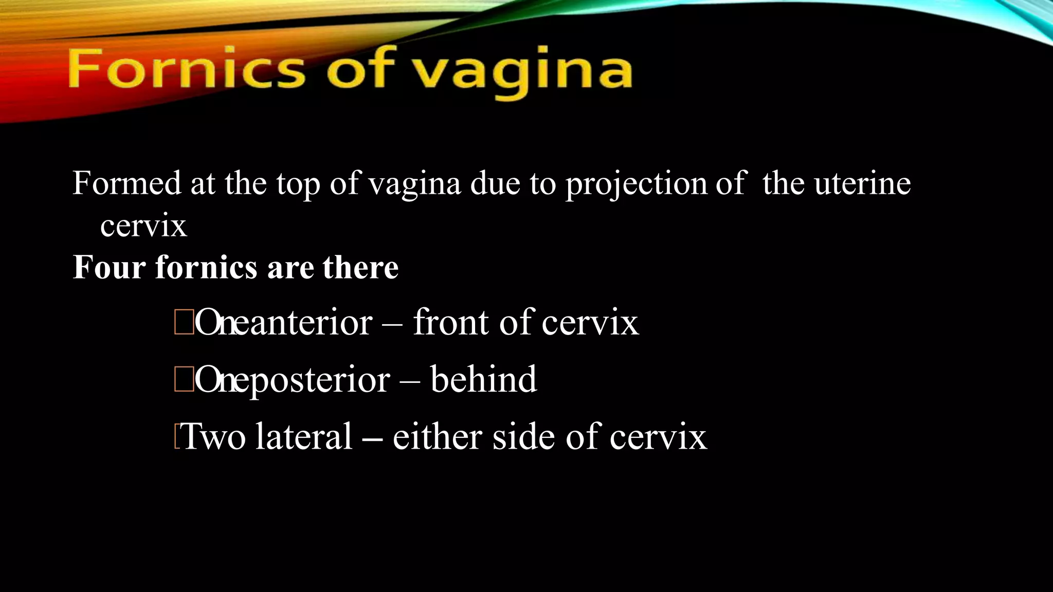 Female reproductive system | PPTX