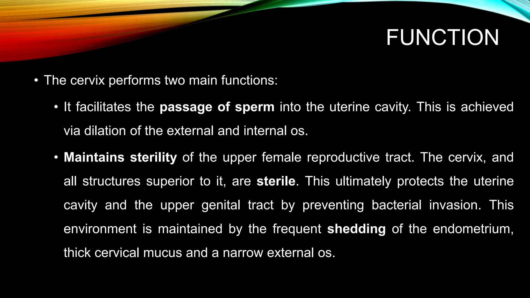 Female reproductive system | PPTX
