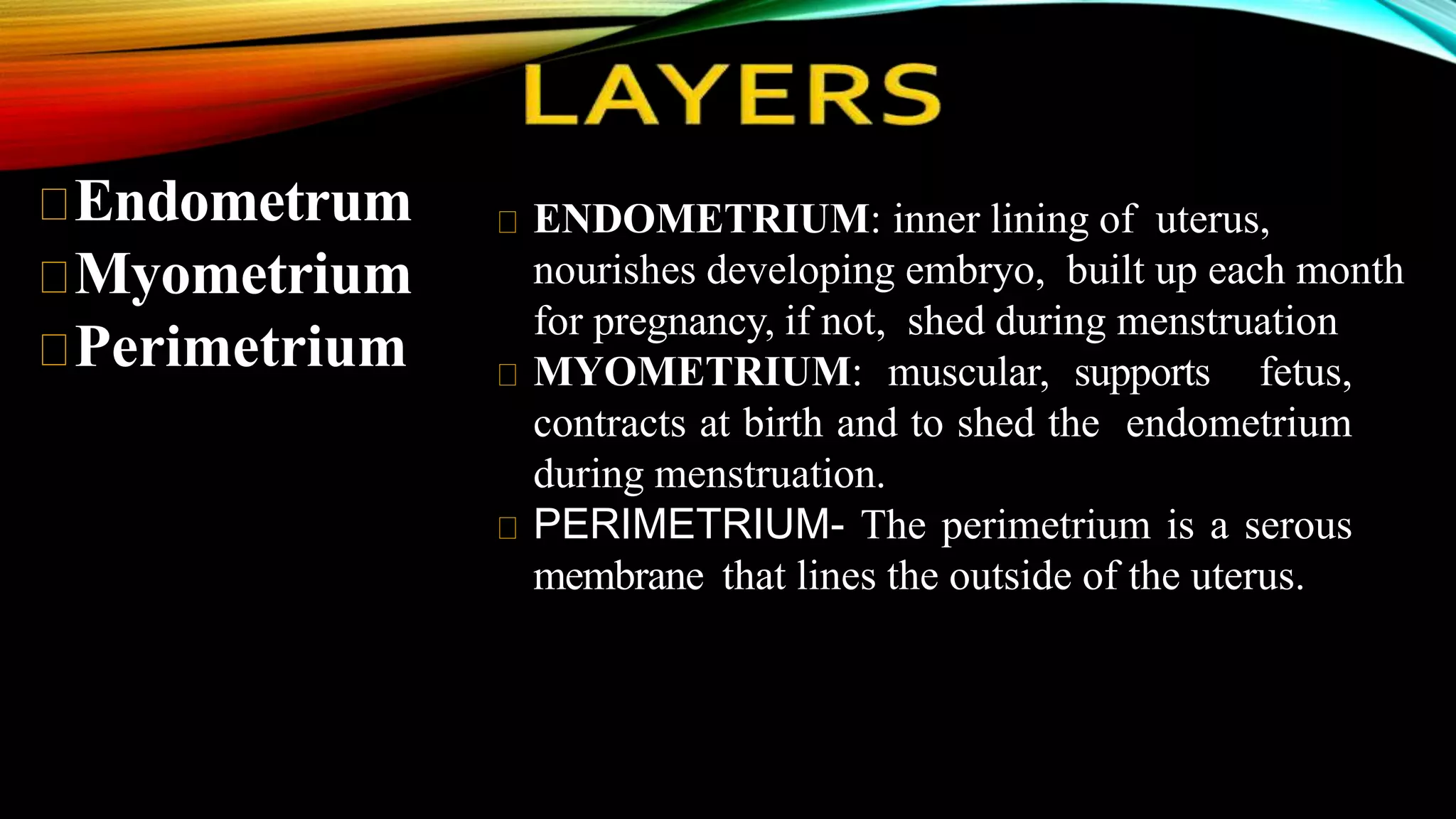 Female reproductive system | PPTX