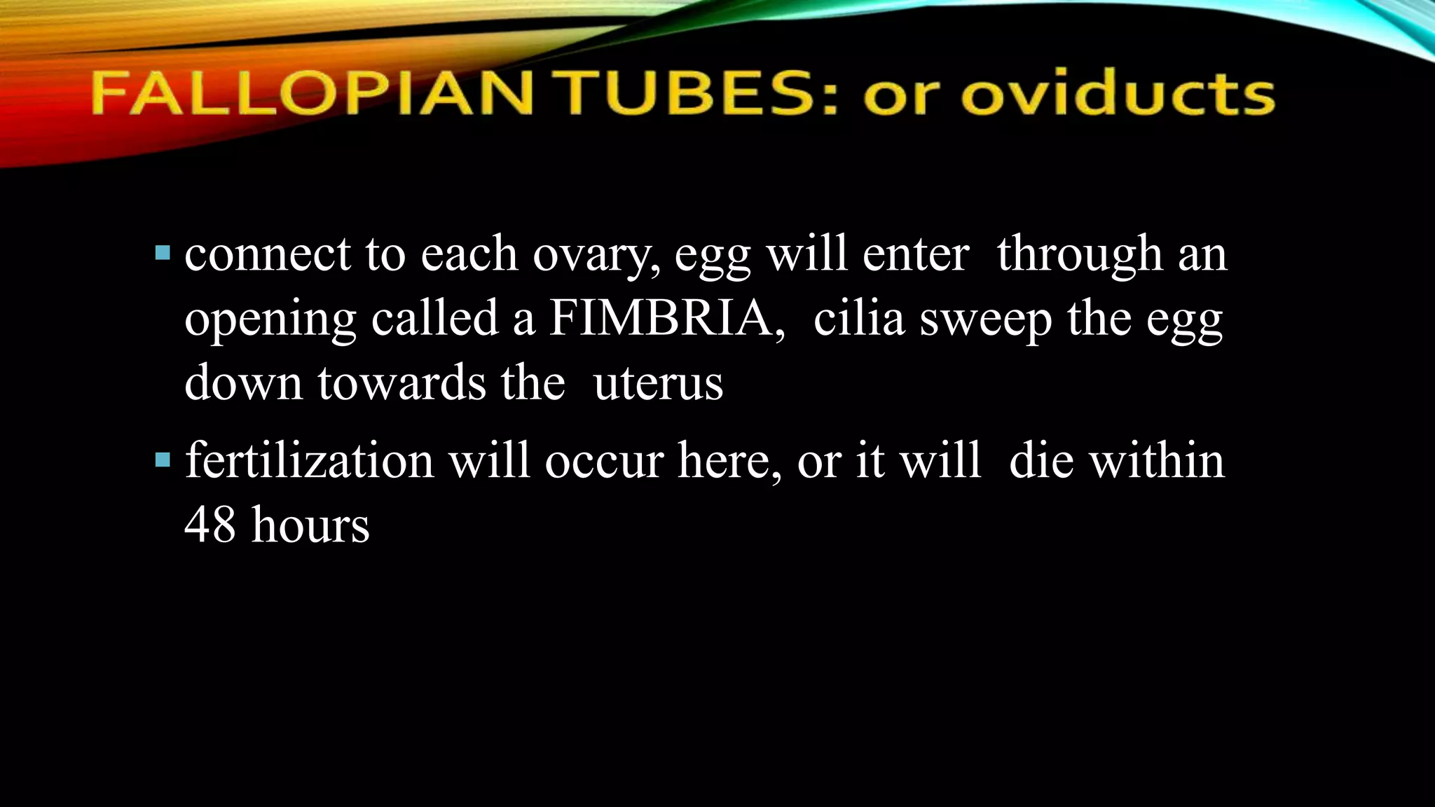 Female reproductive system | PPTX
