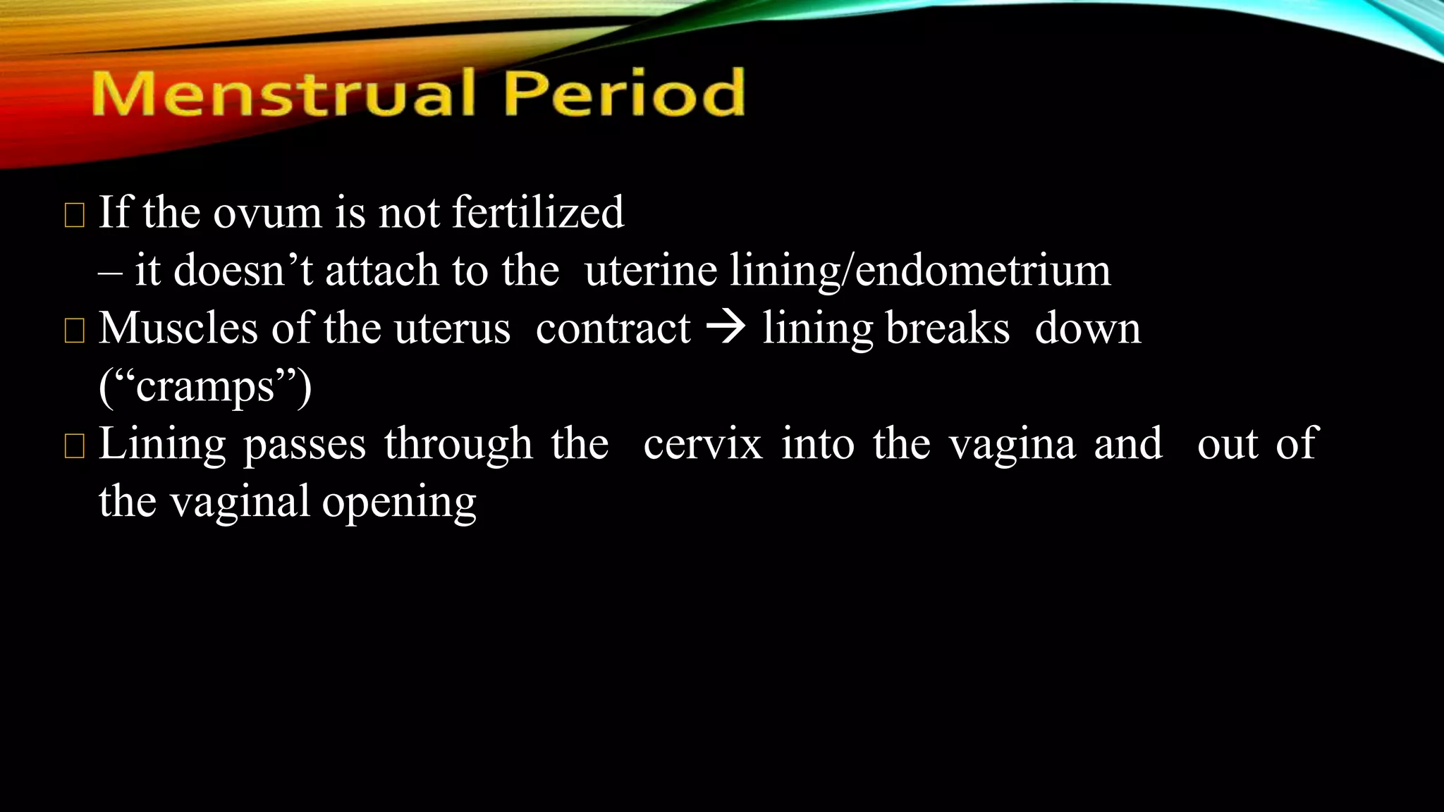 Female reproductive system | PPTX