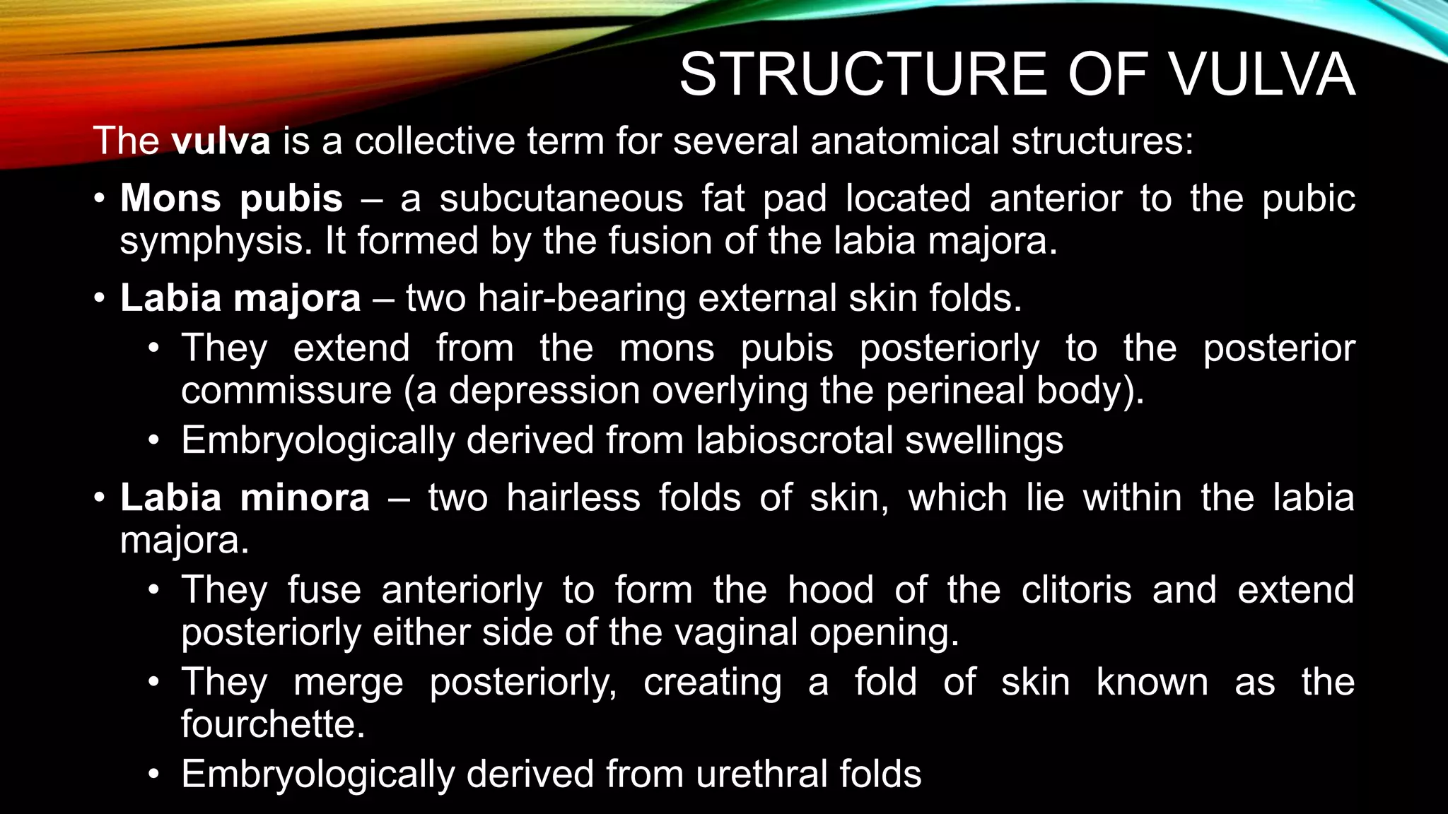 Female reproductive system | PPTX