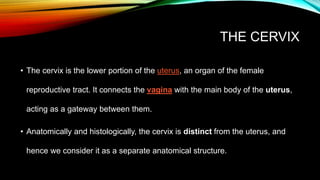 Female reproductive system | PPTX