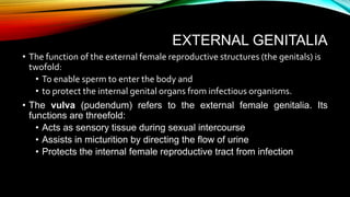 Female reproductive system | PPTX