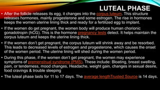 Female reproductive system | PPTX