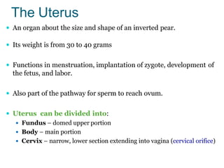 Female reproductive system | PPTX