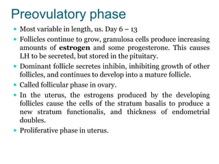 Female reproductive system | PPTX