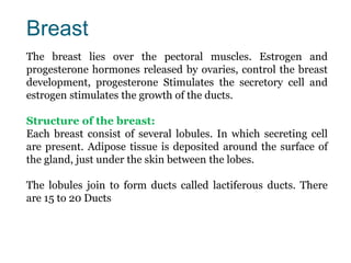 Female reproductive system | PPTX