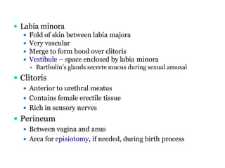Female reproductive system | PPTX