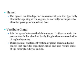 Female reproductive system | PPTX