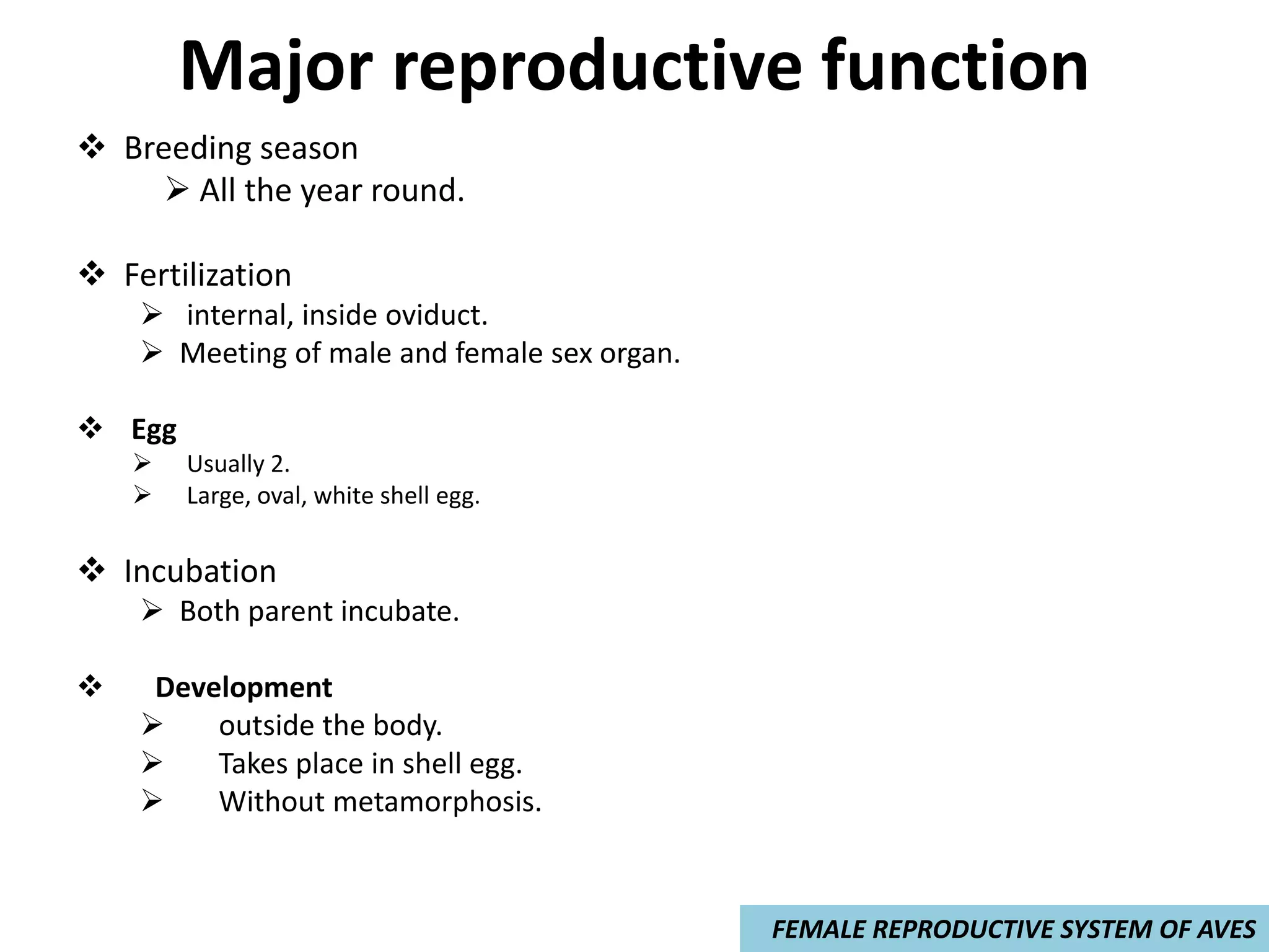 Female reproductive system of Birds, reptiles and mammals | PPTX
