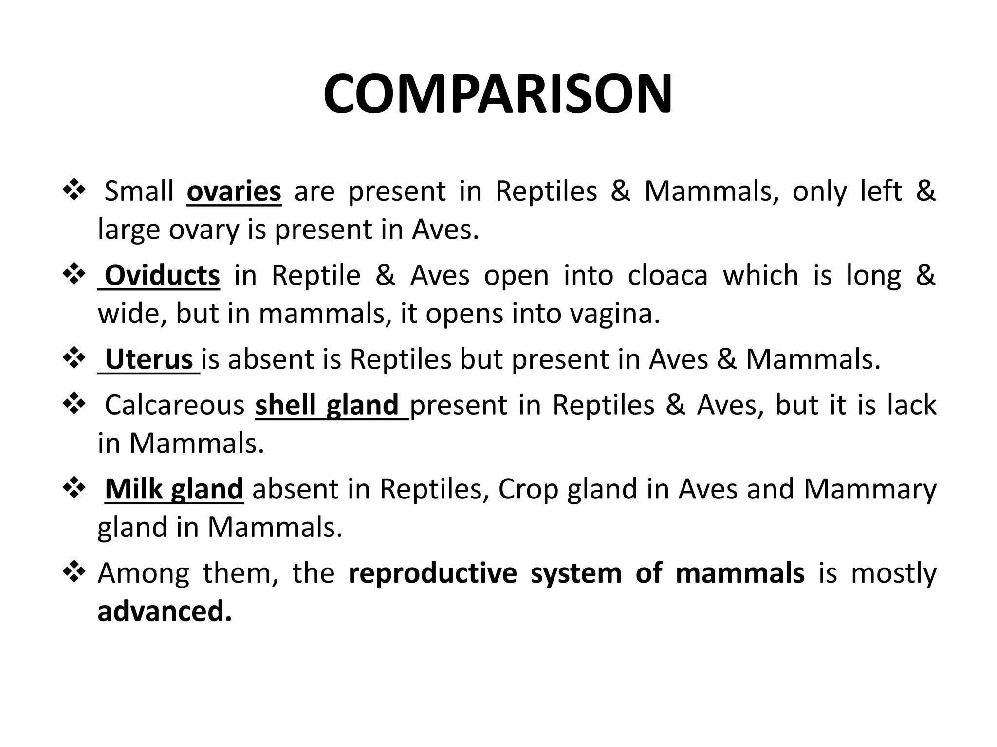 Female reproductive system of Birds, reptiles and mammals | PPTX