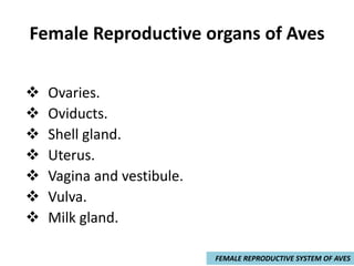 Female reproductive system of Birds, reptiles and mammals | PPTX
