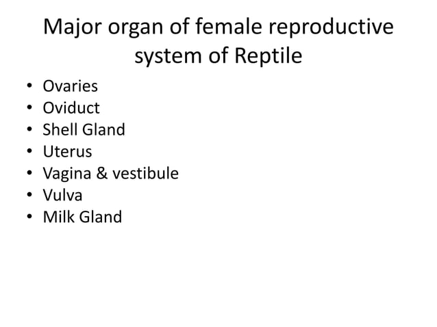 Female reproductive system of Birds, reptiles and mammals | PPTX