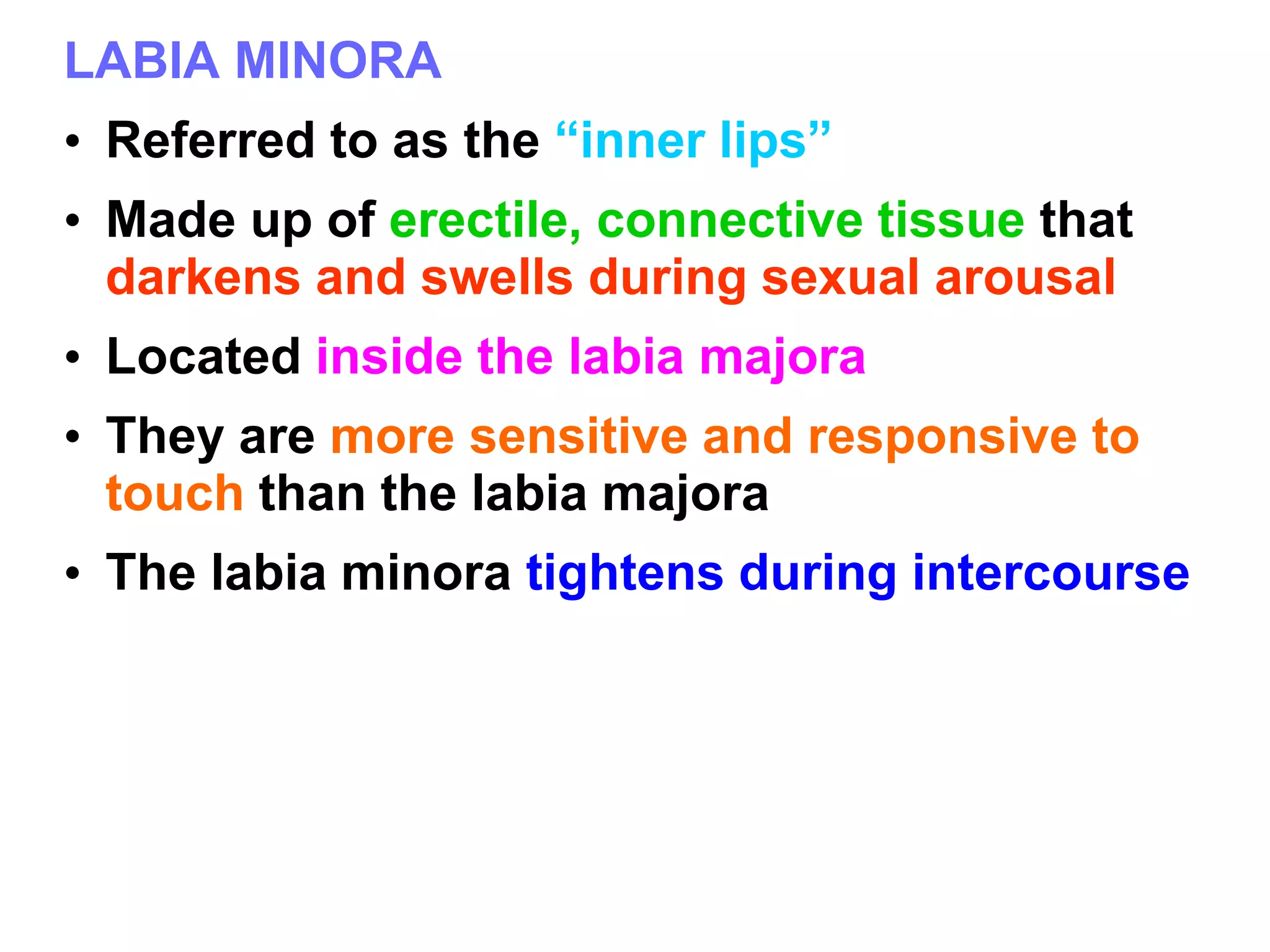 Female Reproductive System - Anatomy & Physiology - B.Pharm & Pharm.D | PPT