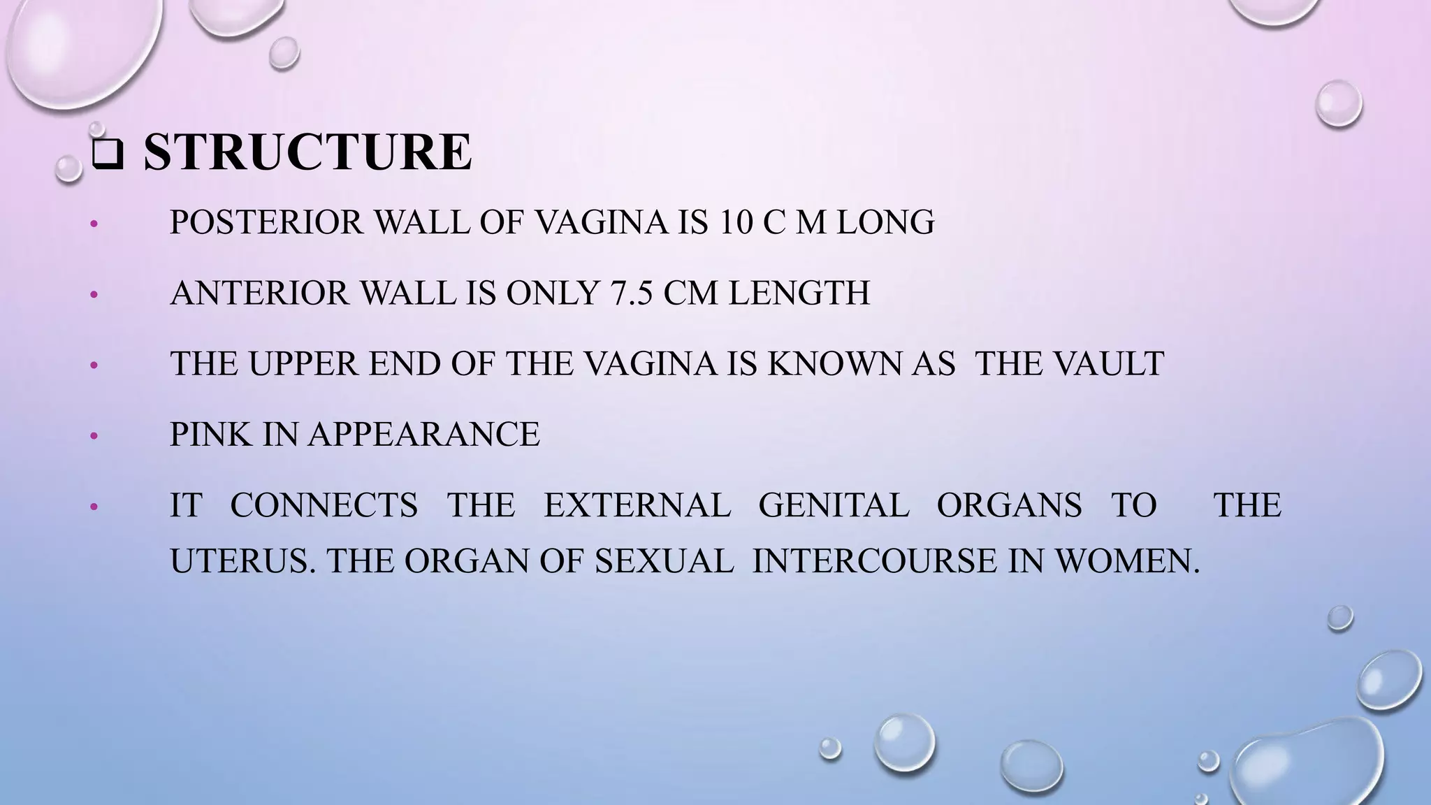 Female reproductive system | PPT