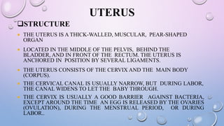 Female reproductive system | PPTX