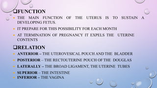 Female reproductive system | PPTX