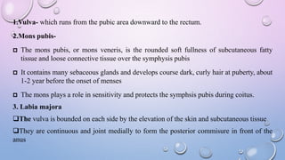 Female reproductive system | PPT