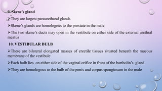 Female reproductive system | PPT