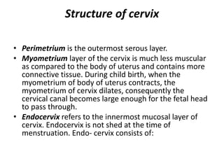female reproductive system.pptx
