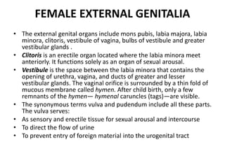 female reproductive system.pptx