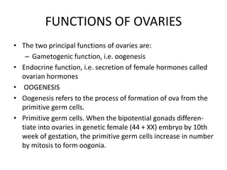 female reproductive system.pptx