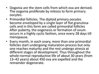 female reproductive system.pptx