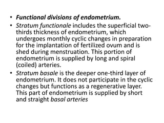 female reproductive system.pptx