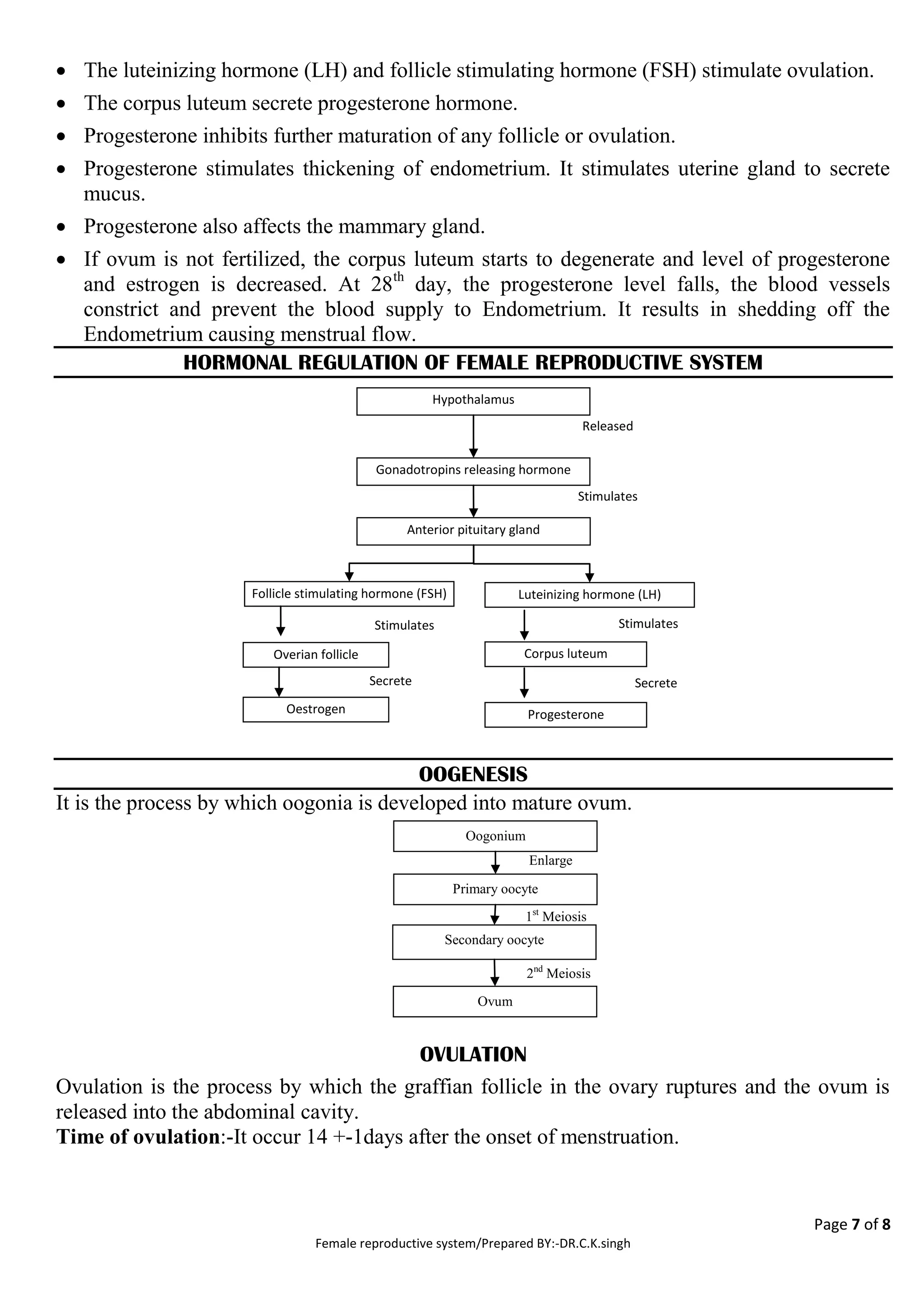 Female reproductive system.pdf