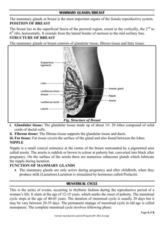 Female reproductive system.pdf