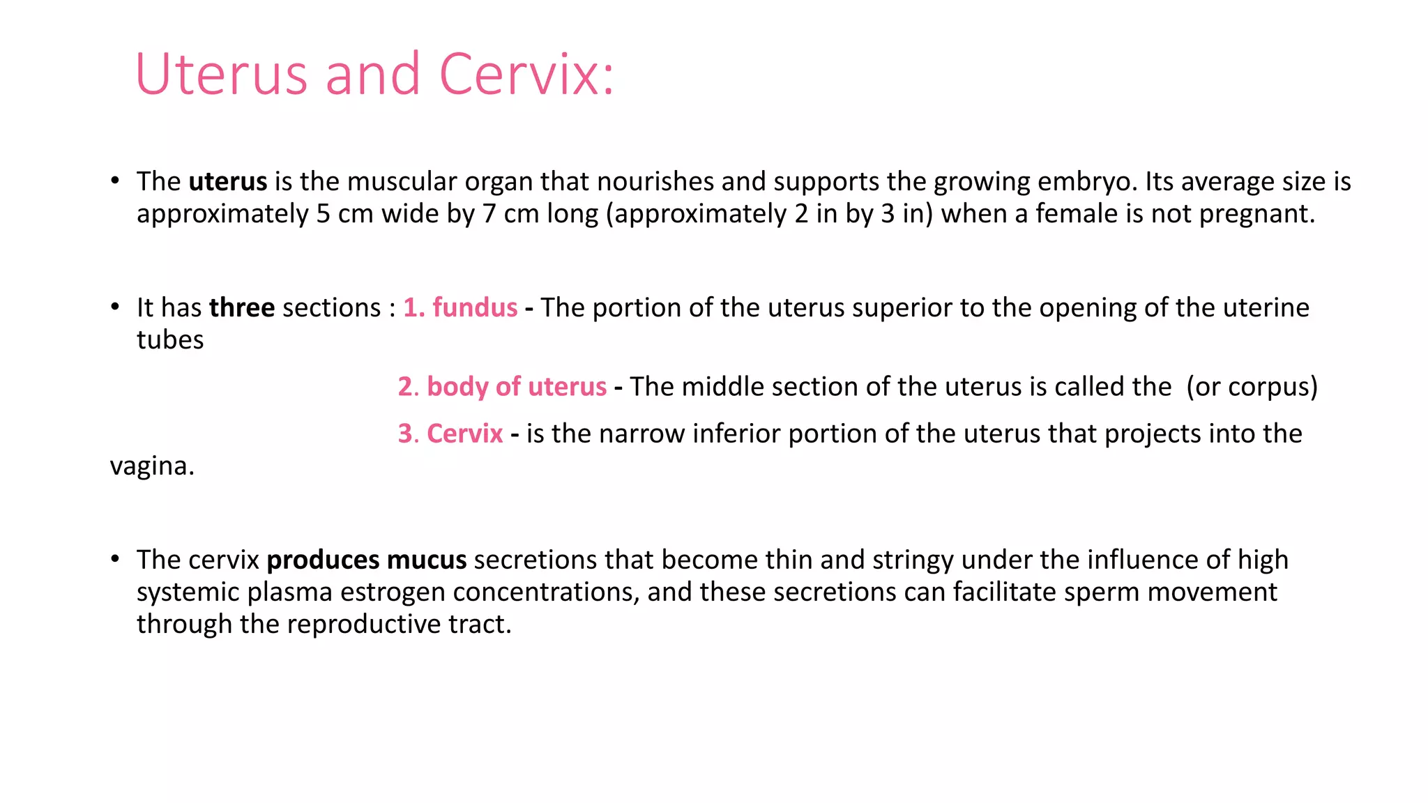 female reproductive system.pptx