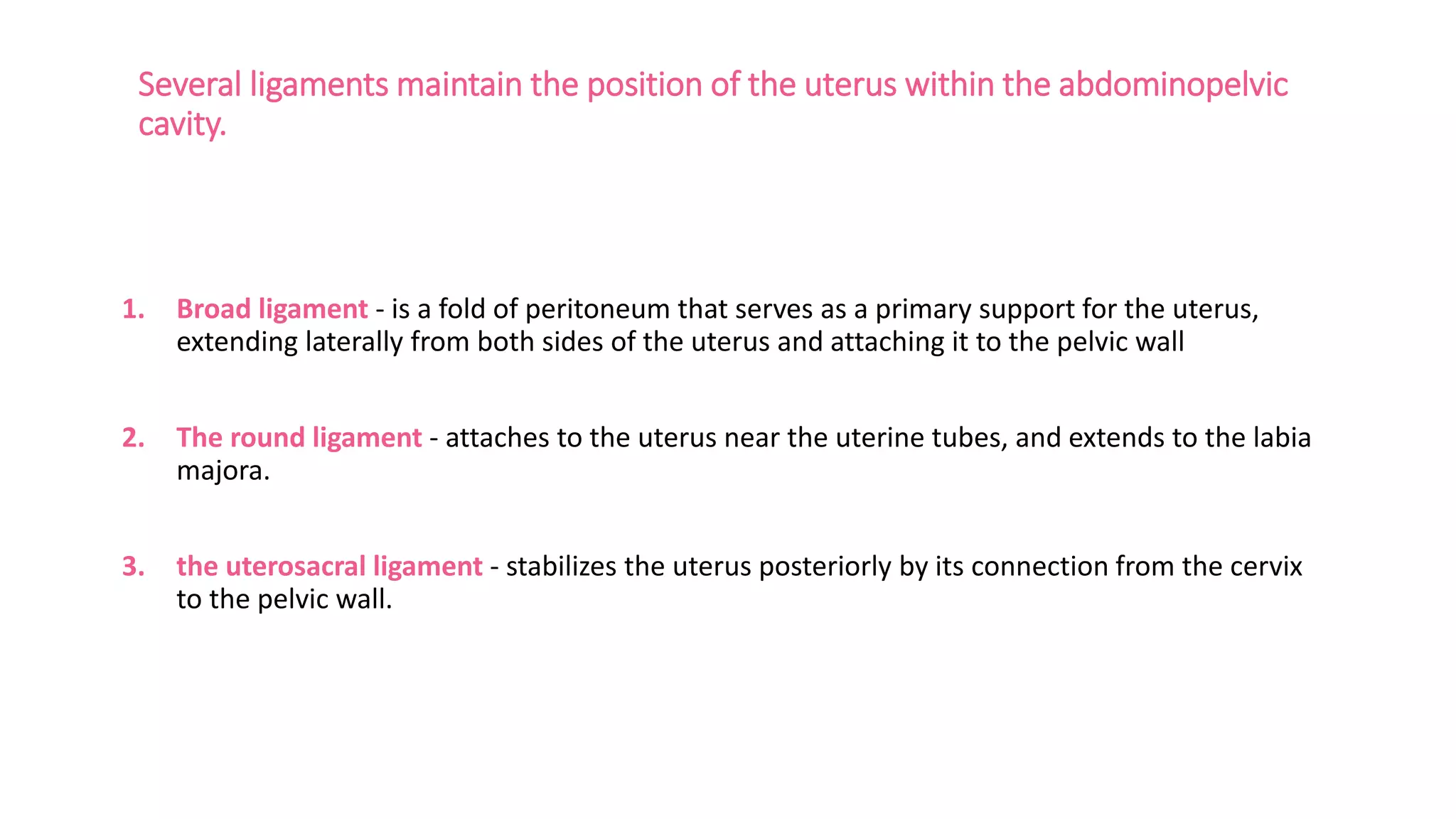 female reproductive system.pptx