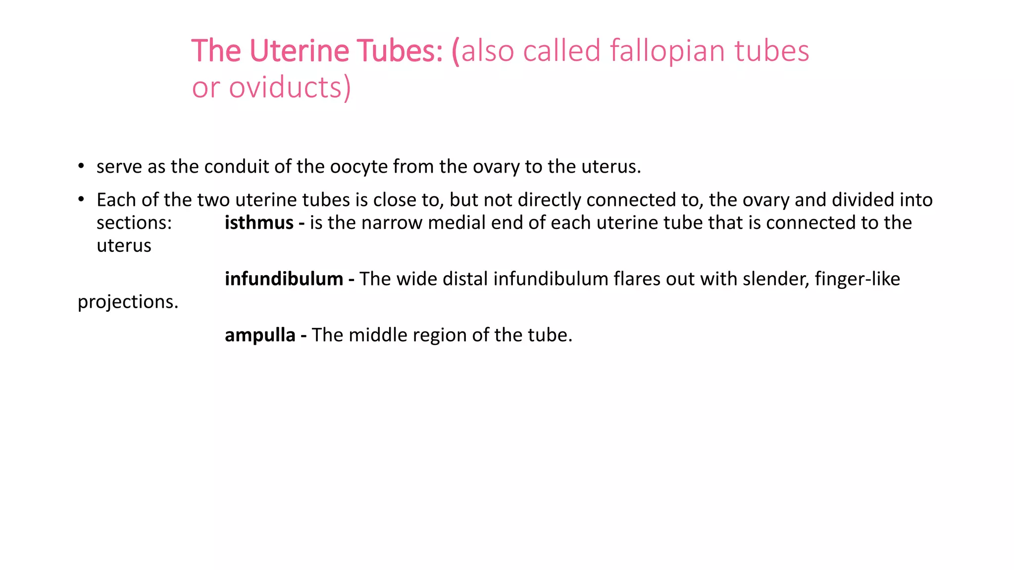 female reproductive system.pptx