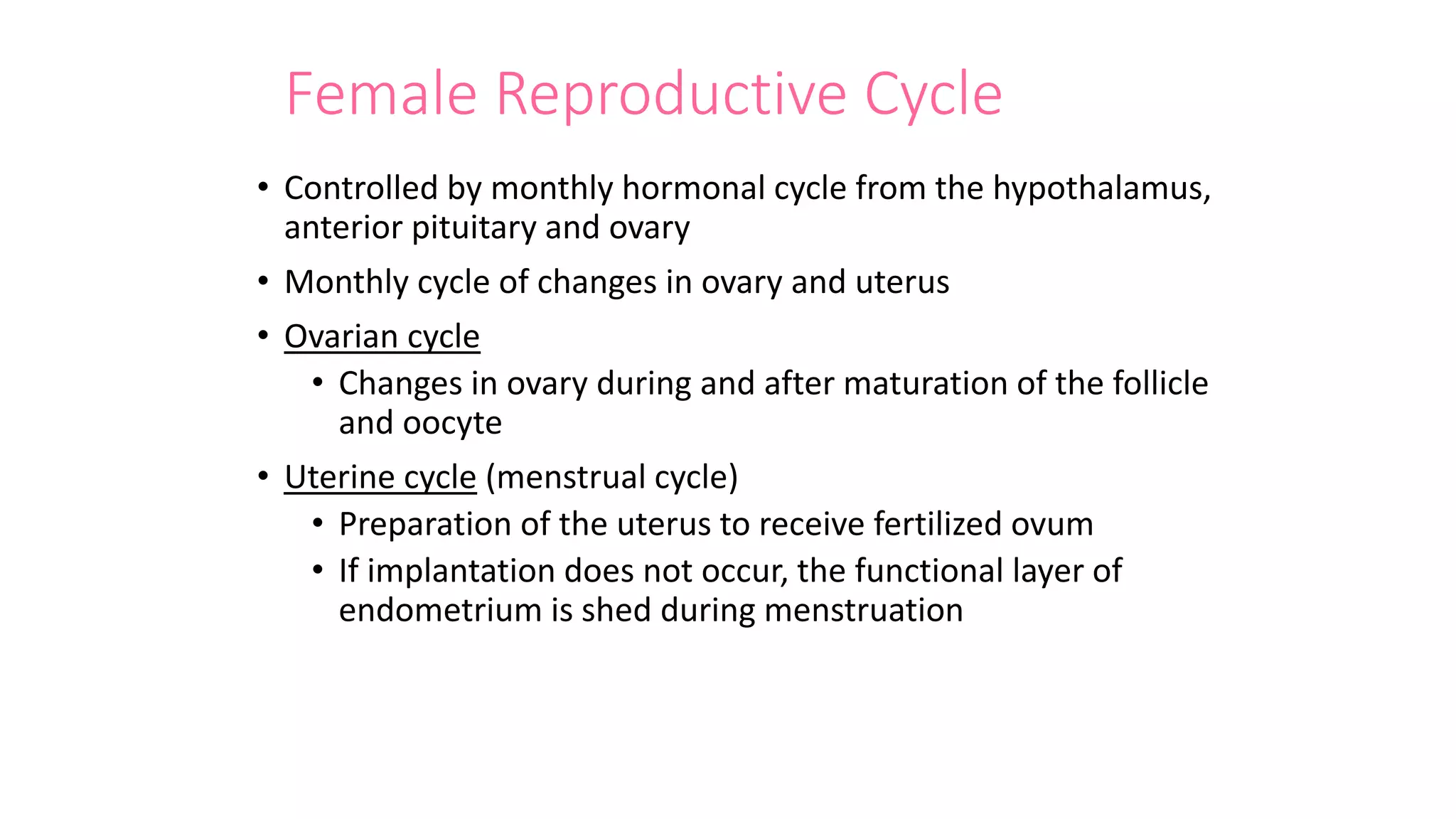 female reproductive system.pptx