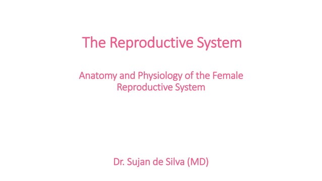 Female Reproductive System Pptx